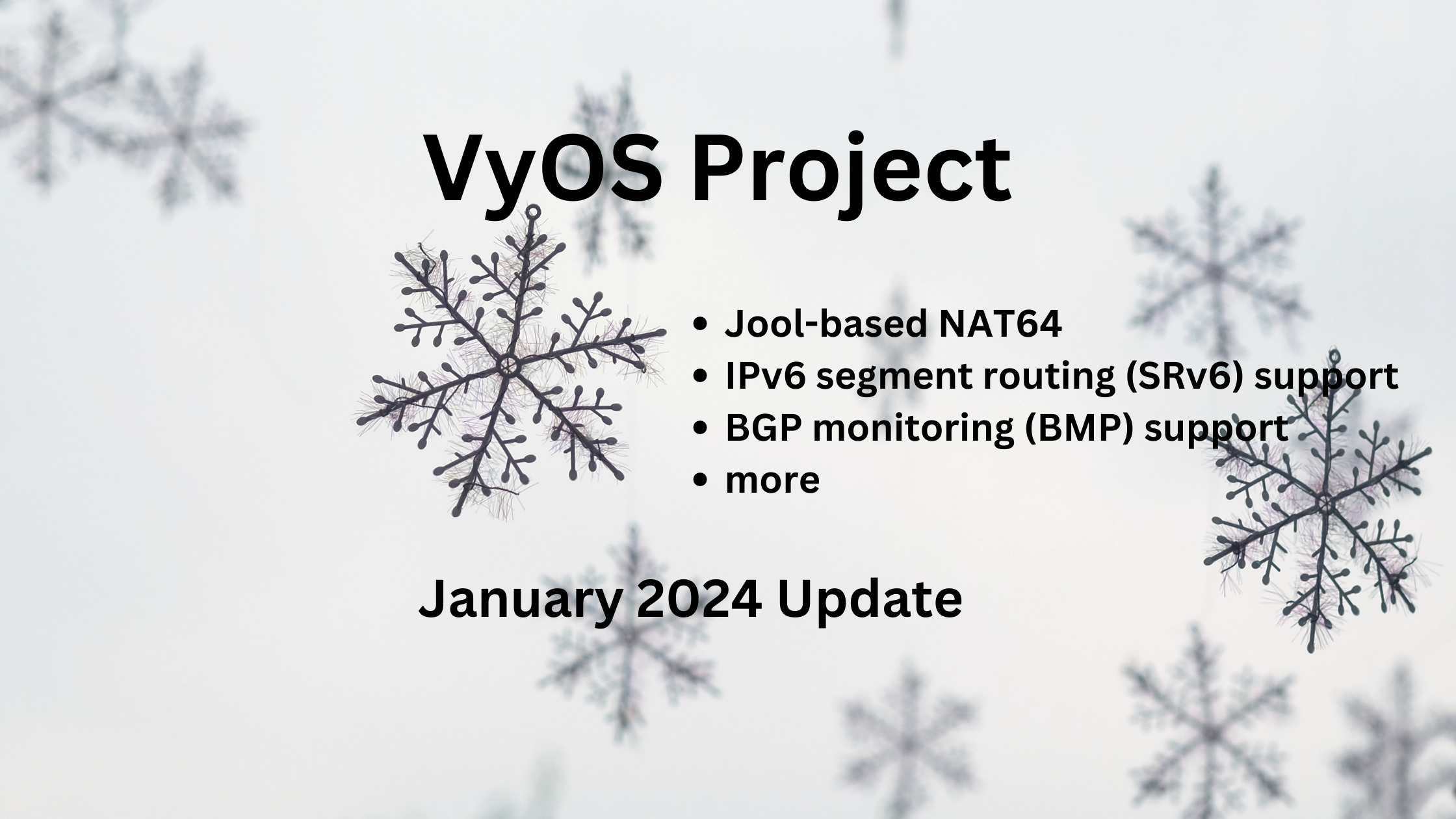 VyOS Project January 2024 Update
